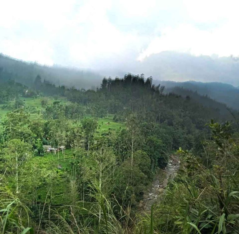 Ella Village Experience | Experience the Hidden Paradise Ella